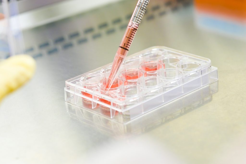 Reconstructed Human Epidermis - Straticell